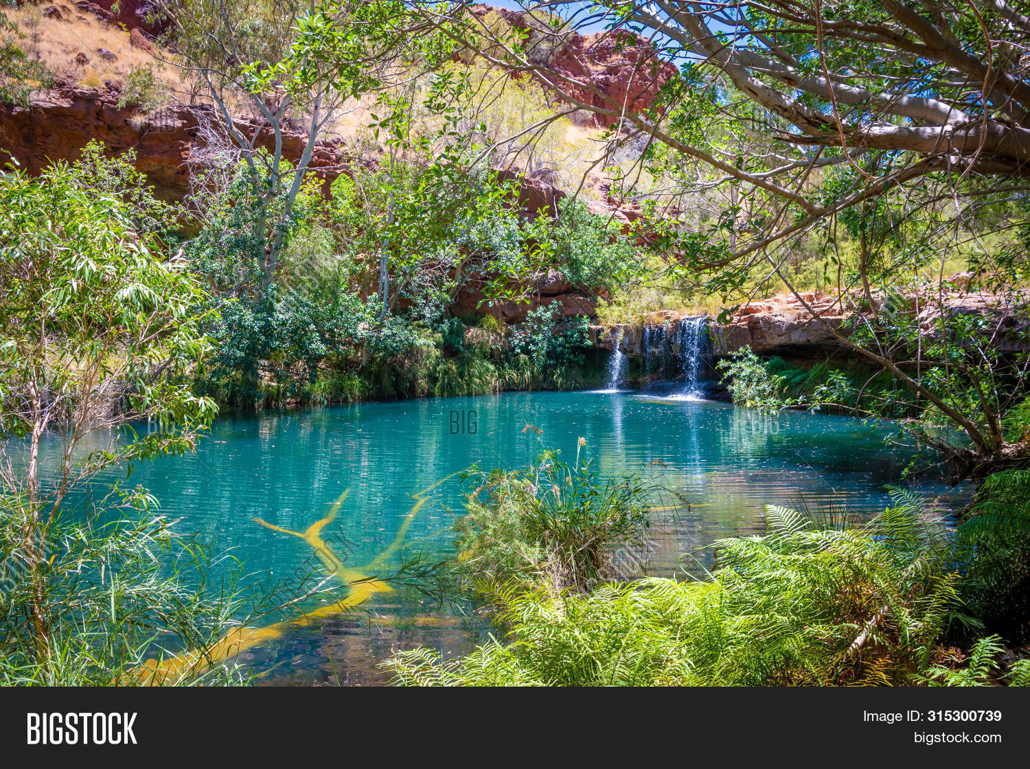 Beautiful Fern Pool Image & Photo (Free Trial) | Bigstock