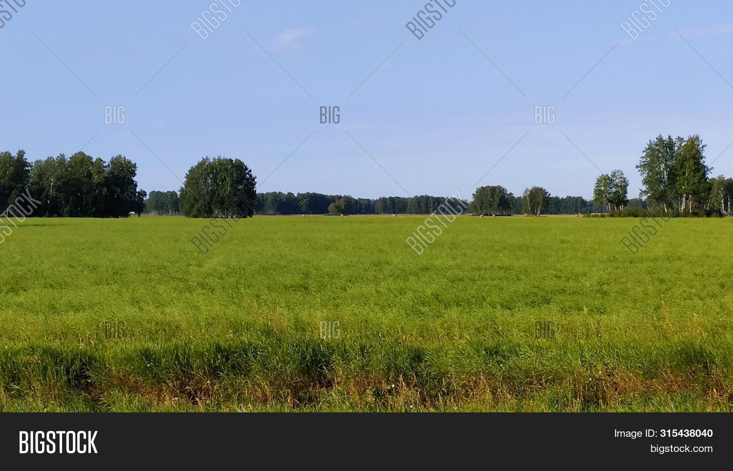 Summer Countryside Image & Photo (Free Trial) | Bigstock