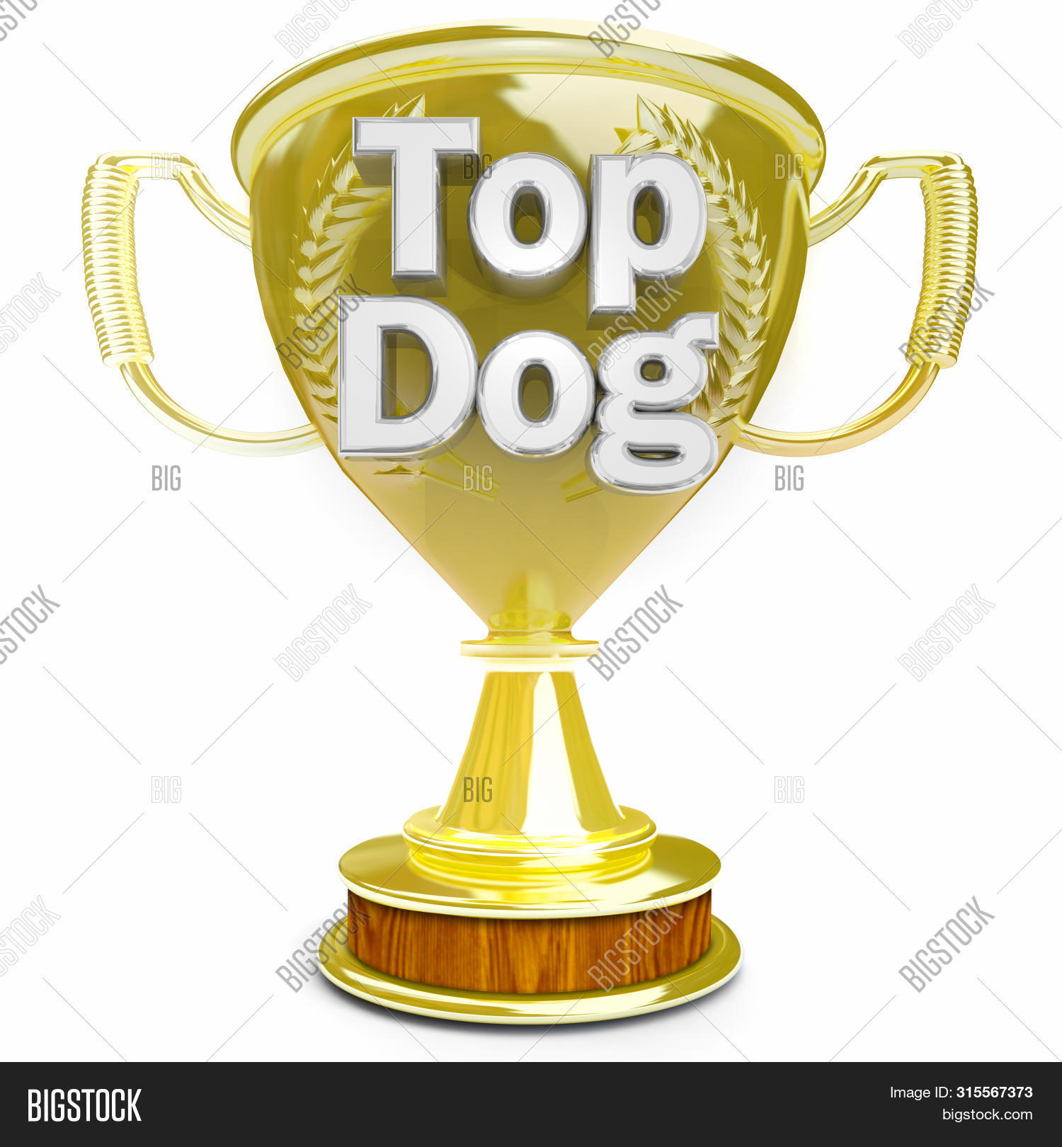 Top Dog Award
