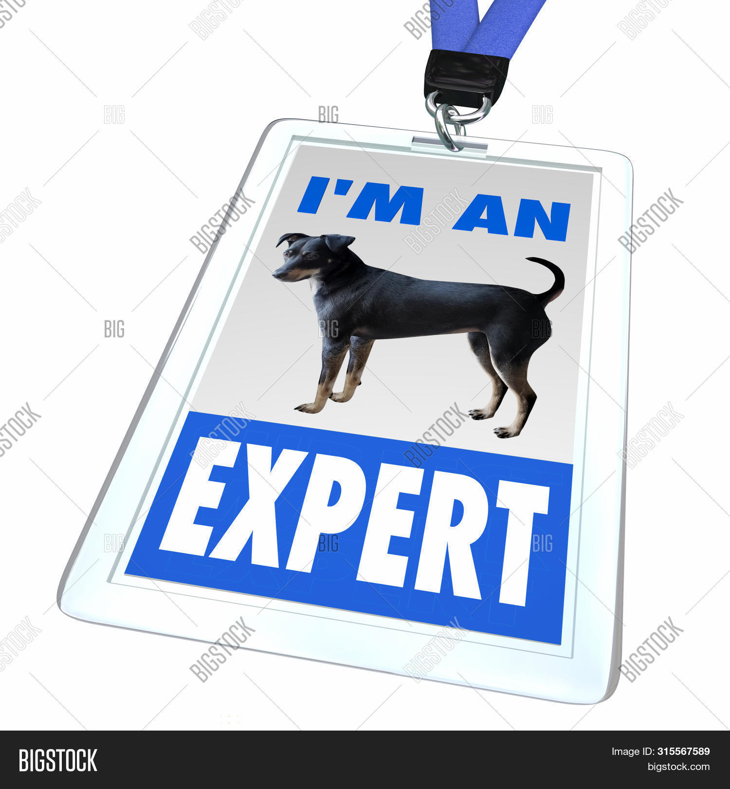 Im Expert Dogs Pets Image & Photo (Free Trial) | Bigstock