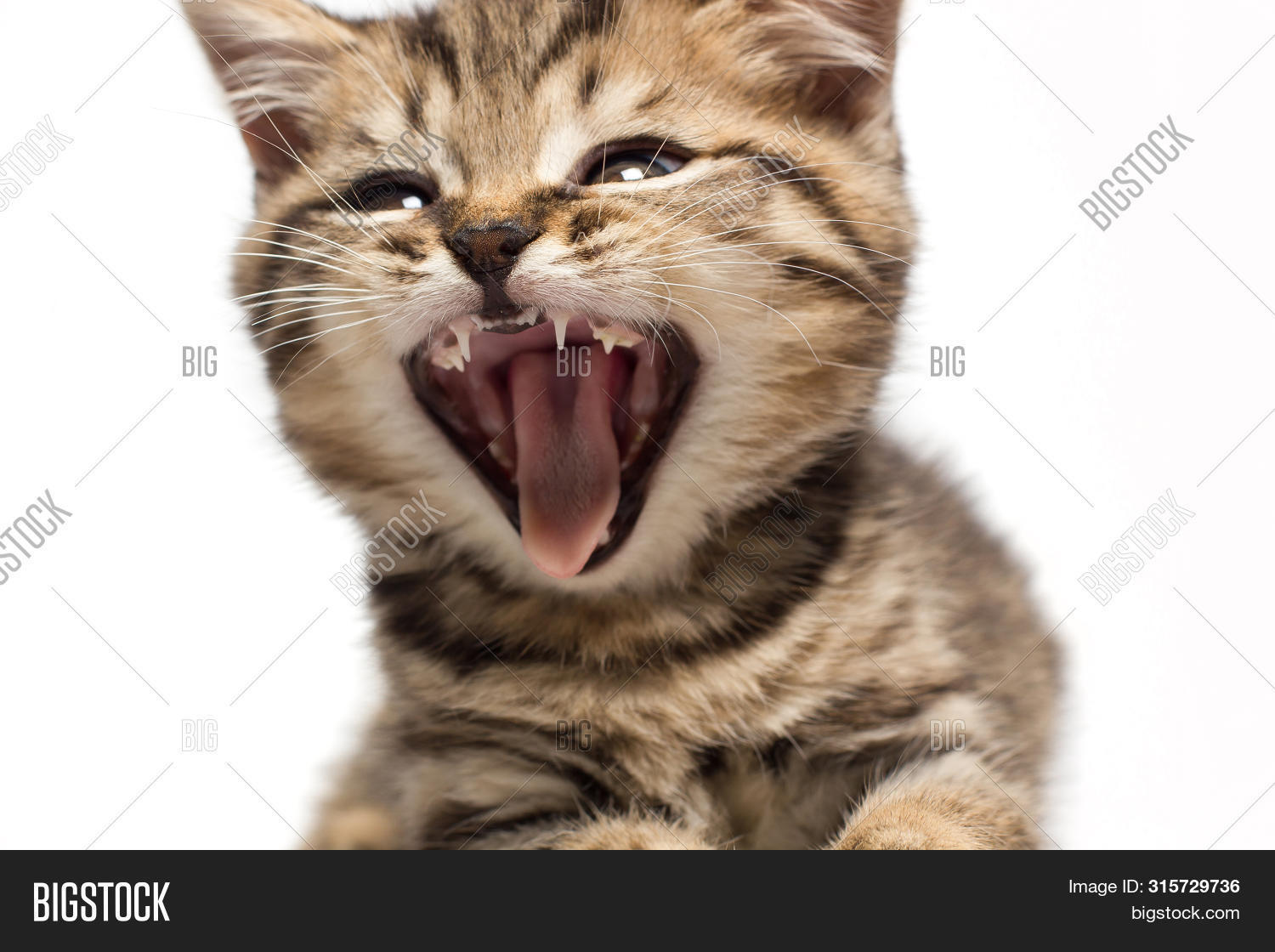 Shocked Screaming Image & Photo (Free Trial) | Bigstock