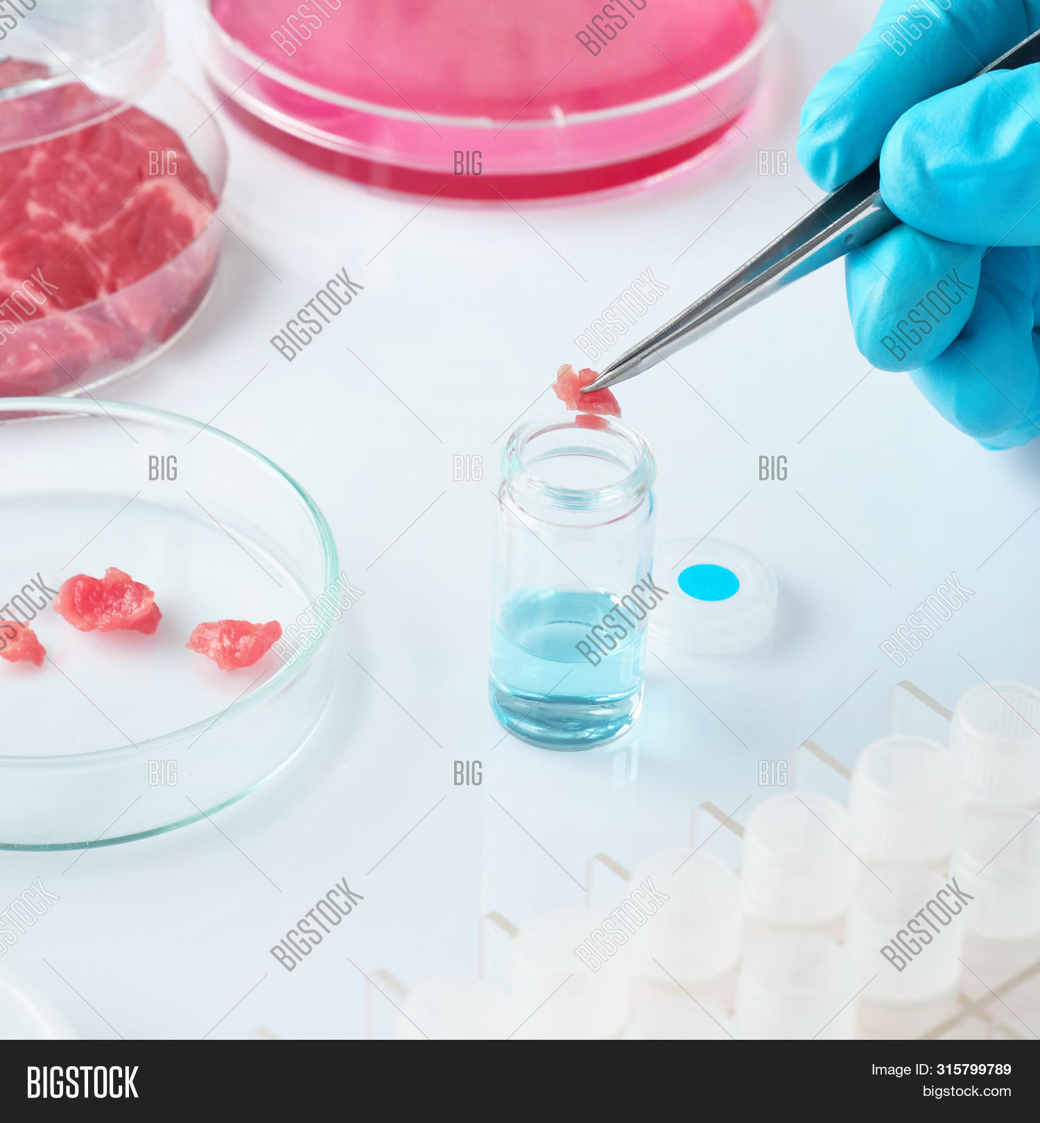 Meat Sample Open Image & Photo (Free Trial) | Bigstock