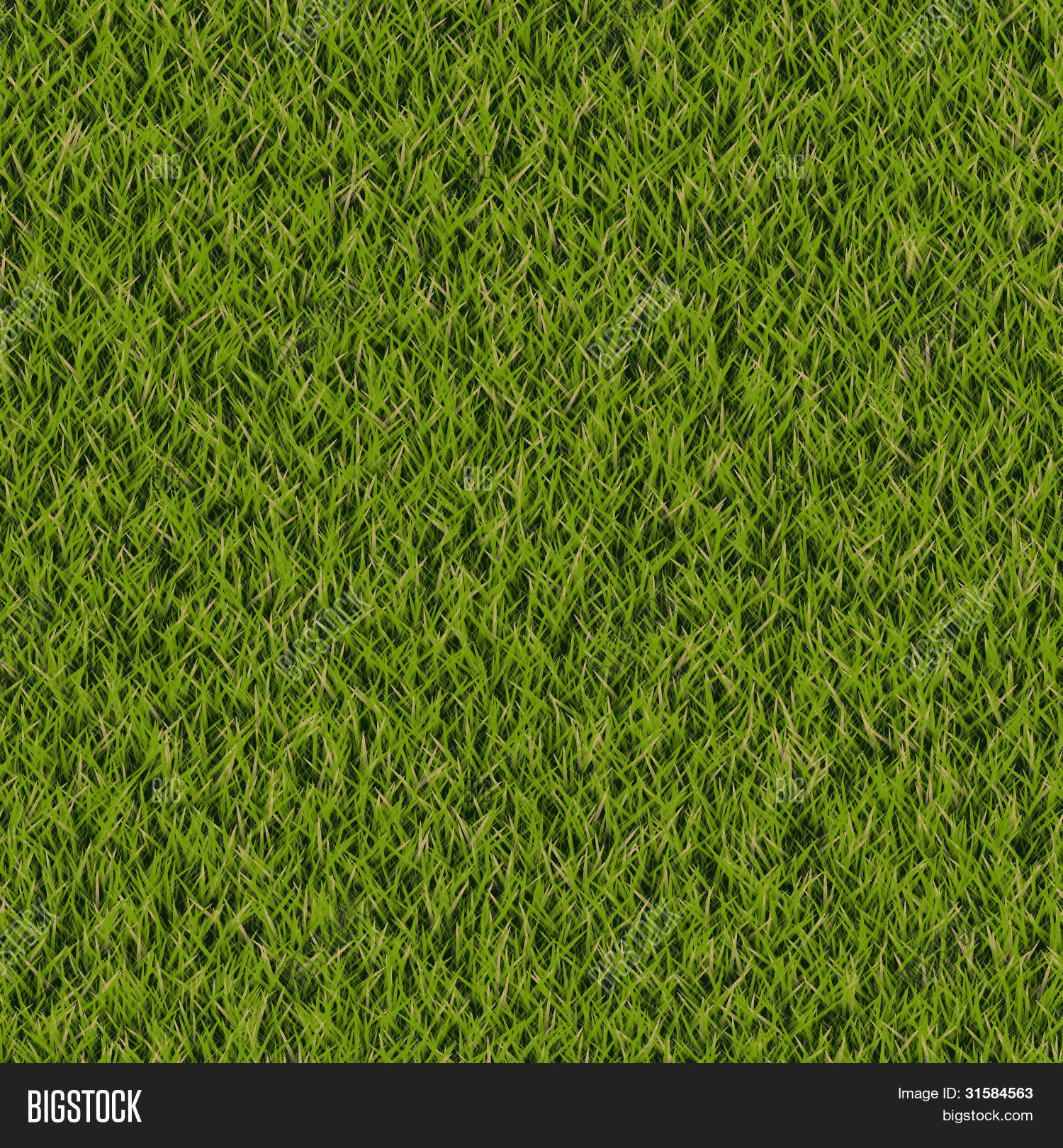 Green Grass Seamless Image & Photo (Free Trial) | Bigstock