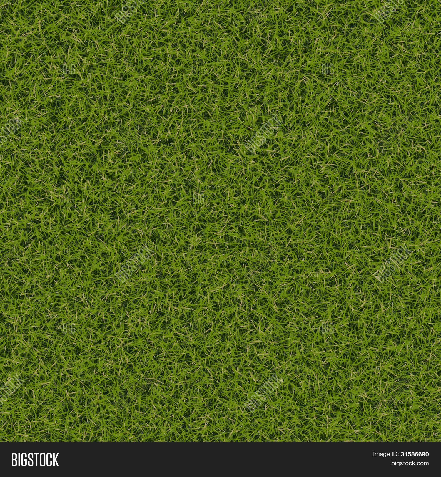 Green Grass Seamless Image & Photo (Free Trial) | Bigstock