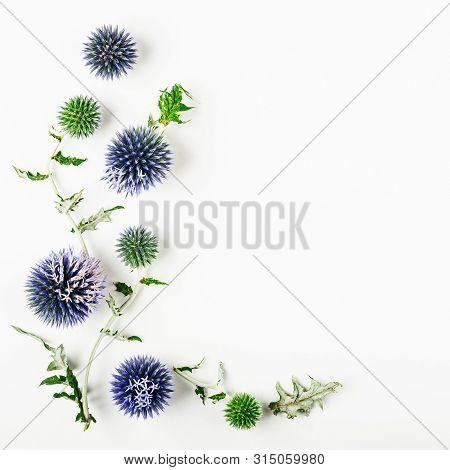 Thistle Border Images, Illustrations & Vectors (Free) - Bigstock