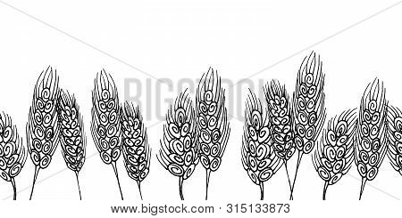 Black Outline Rye On Image & Photo (Free Trial) | Bigstock