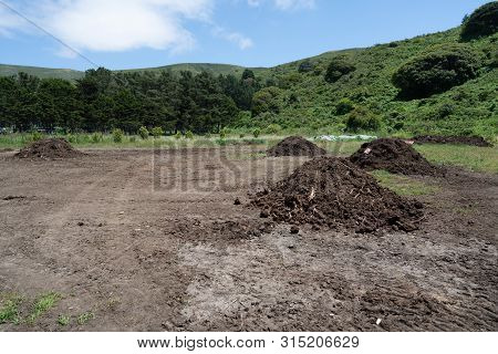 Large Mounds Manure Image & Photo (Free Trial) | Bigstock