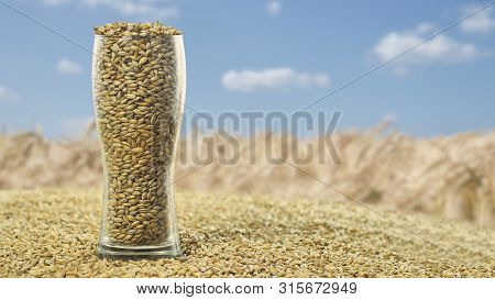 Close- Dry Malt Beans Image & Photo (Free Trial) | Bigstock