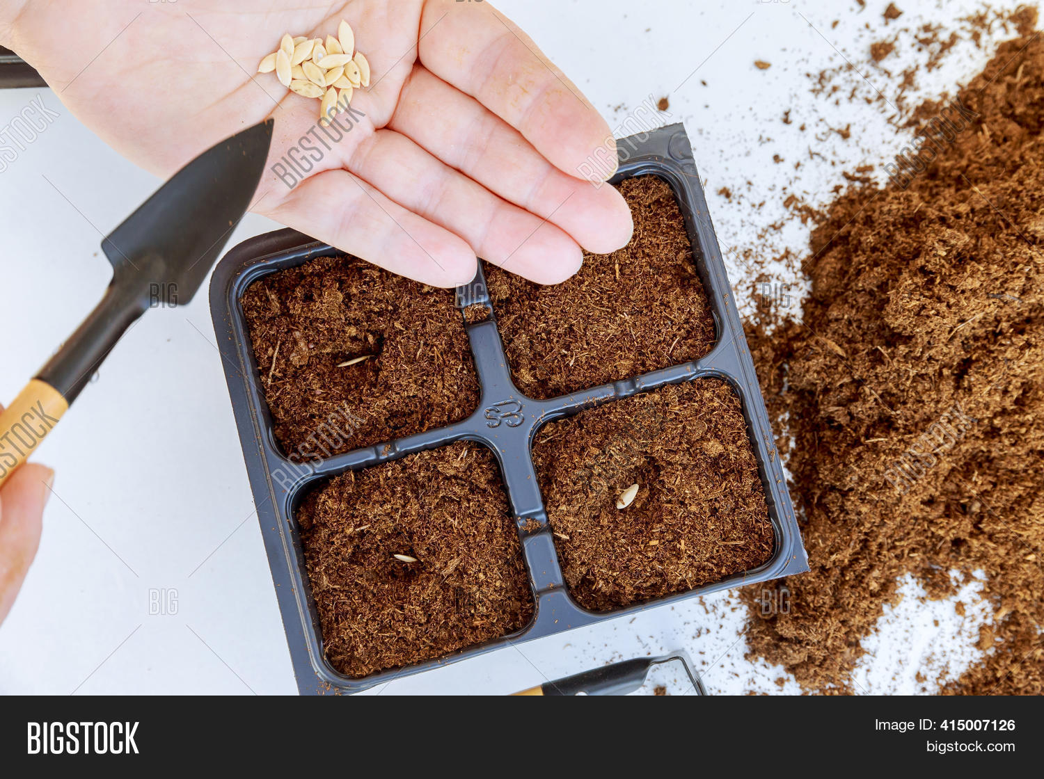 Farmers Sowing Seed Image & Photo (Free Trial) | Bigstock