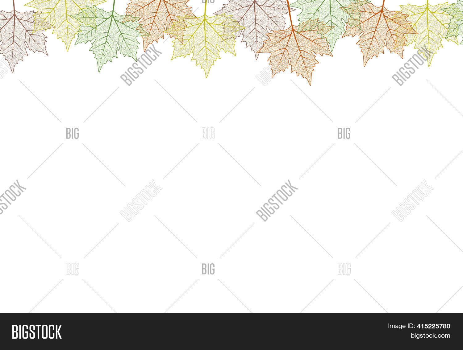 Maple Tree Leaf Frame Image & Photo (Free Trial) | Bigstock