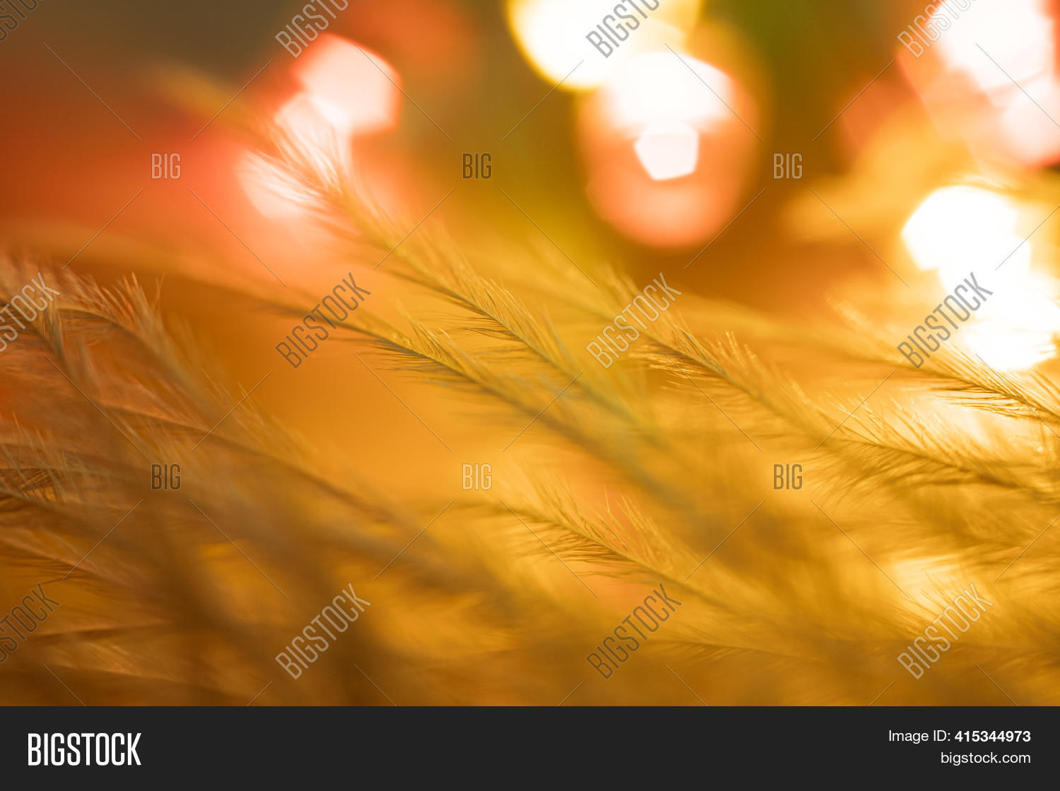 Closeup Down Feather Image & Photo (Free Trial) | Bigstock