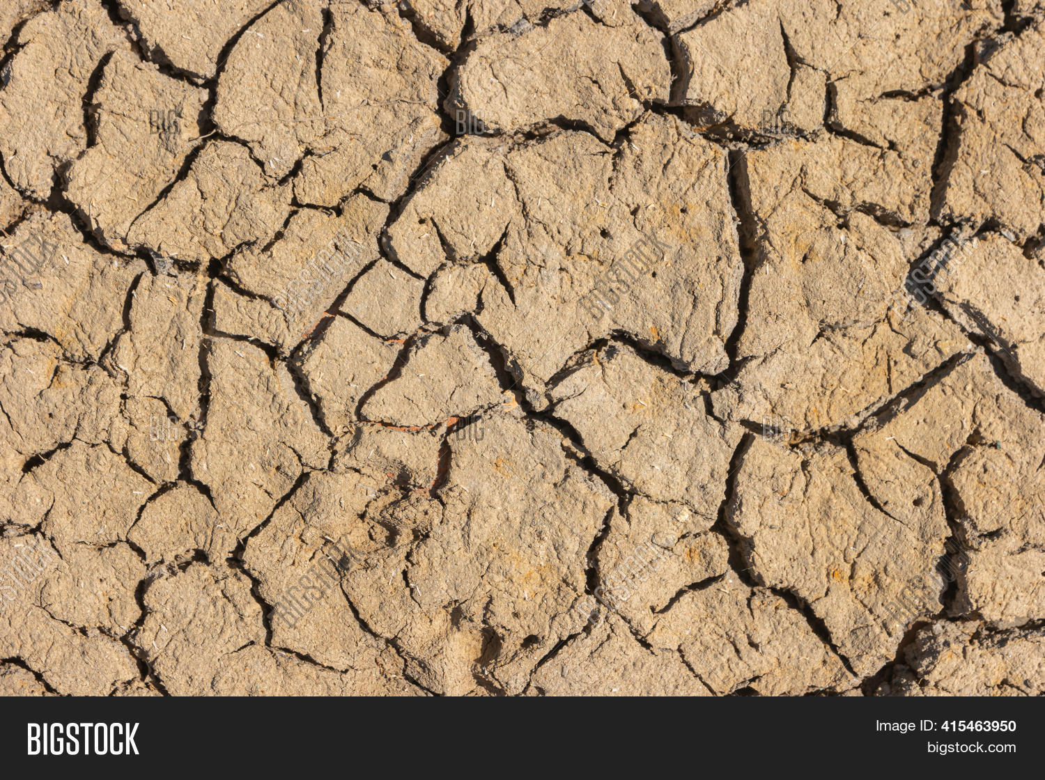 Part Huge Area Dried Image & Photo (Free Trial) | Bigstock