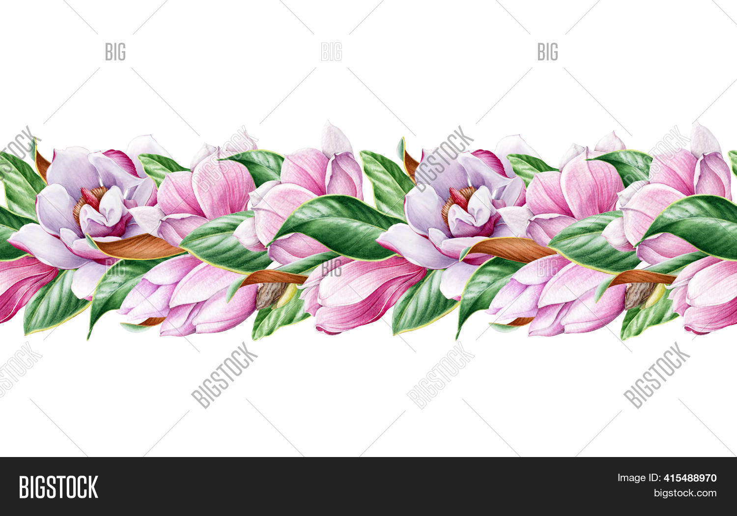 Magnolia Flower Image & Photo (Free Trial) | Bigstock