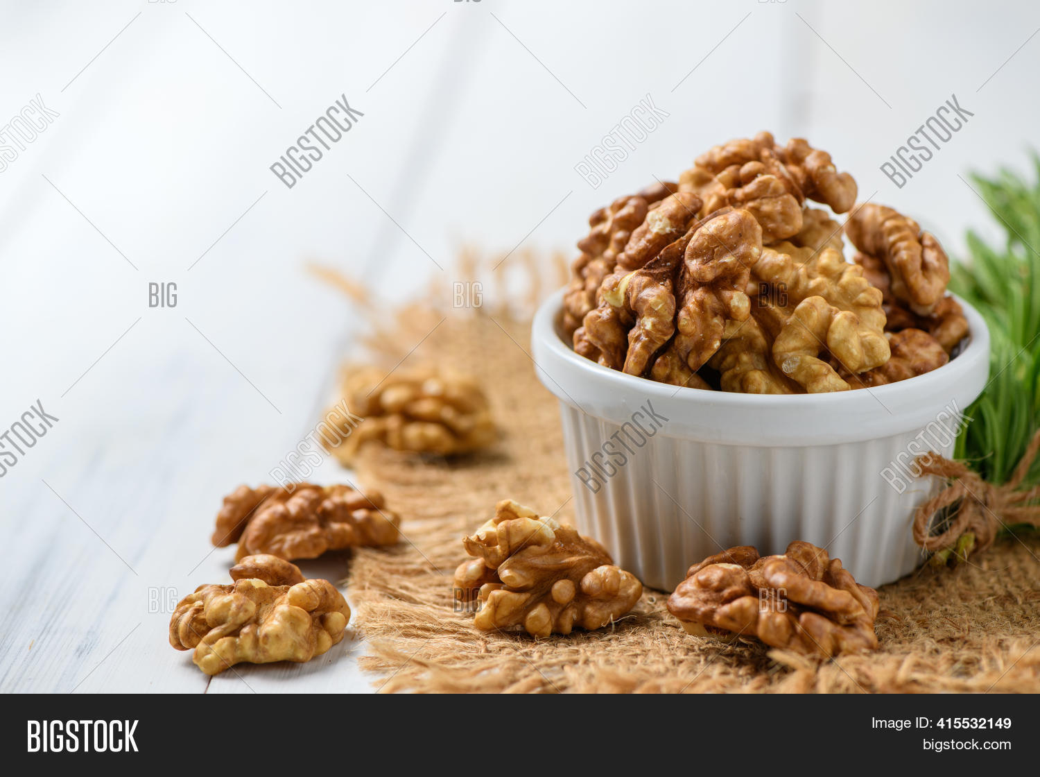 Walnut White Cup On Image & Photo (Free Trial) | Bigstock