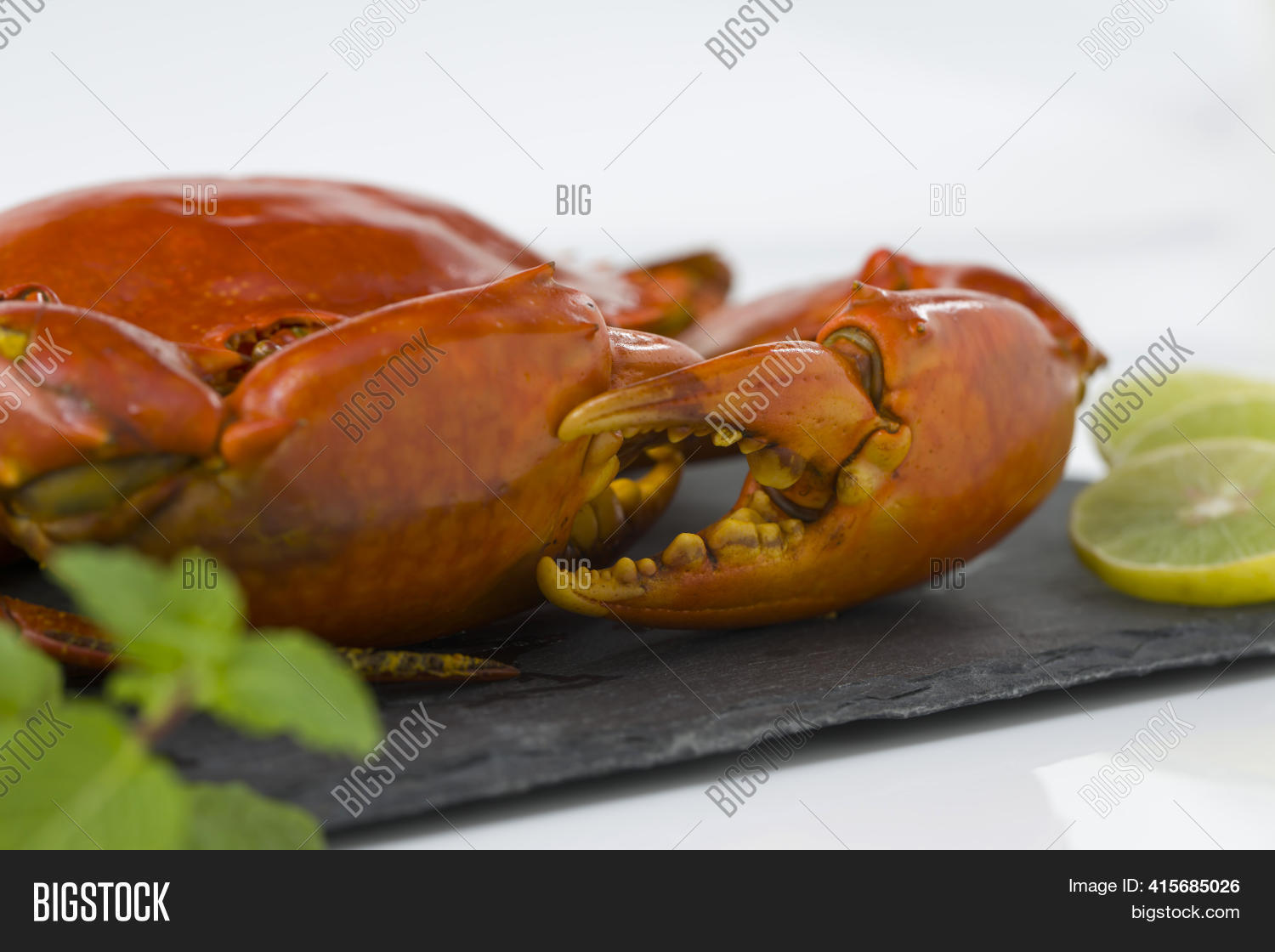 Cooked Mud Crab, Which Image & Photo (Free Trial) | Bigstock