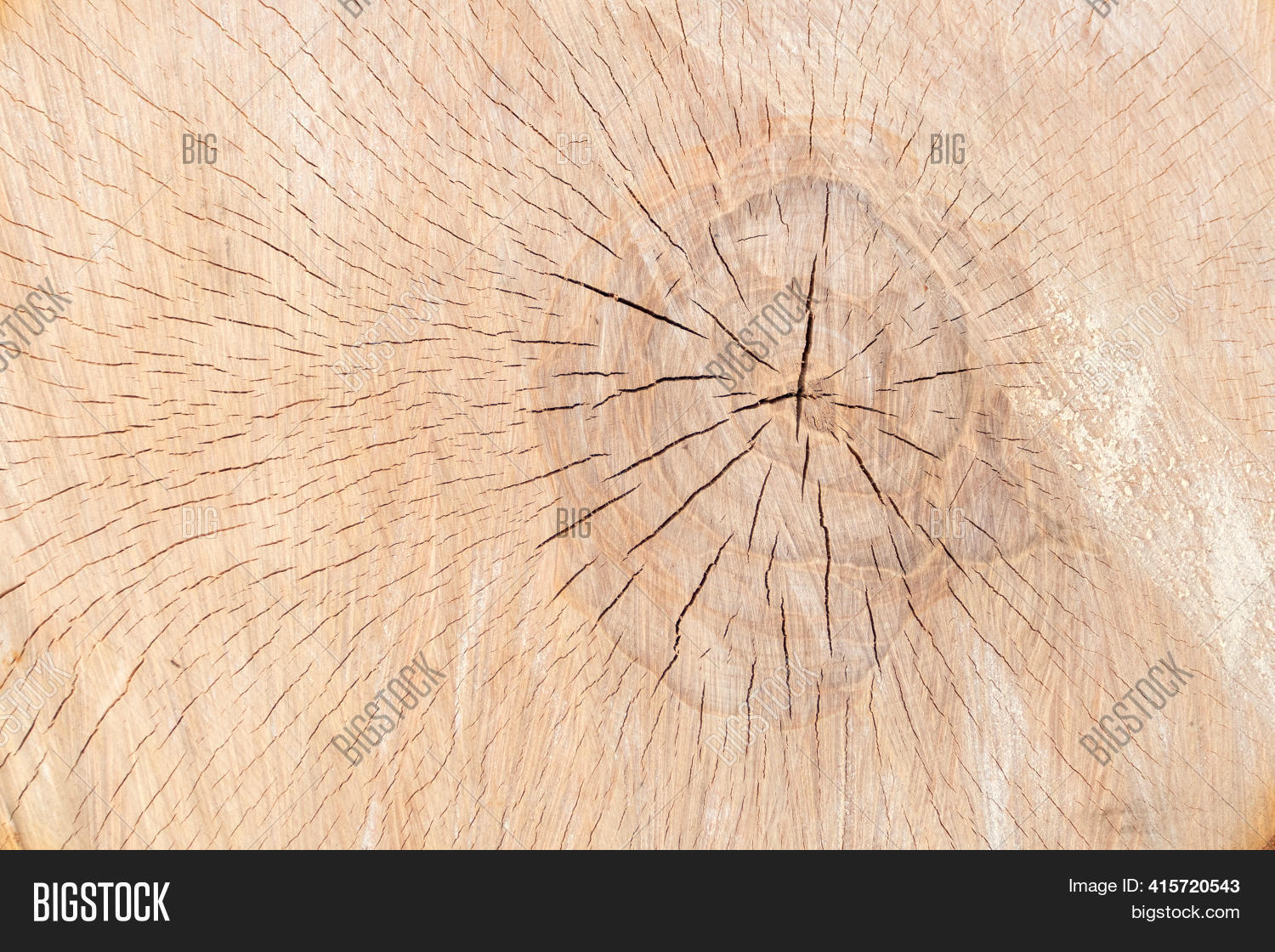 Background Cut Wood Image & Photo (Free Trial) | Bigstock