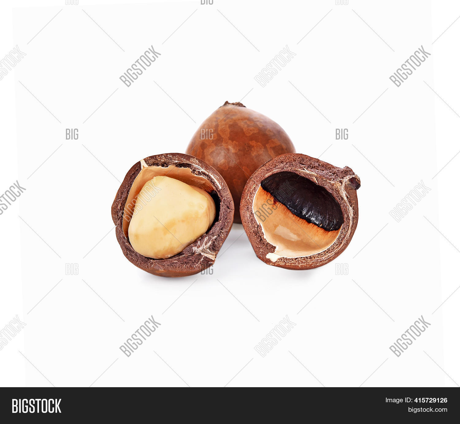 Macadamia Nuts Seed Image And Photo Free Trial Bigstock