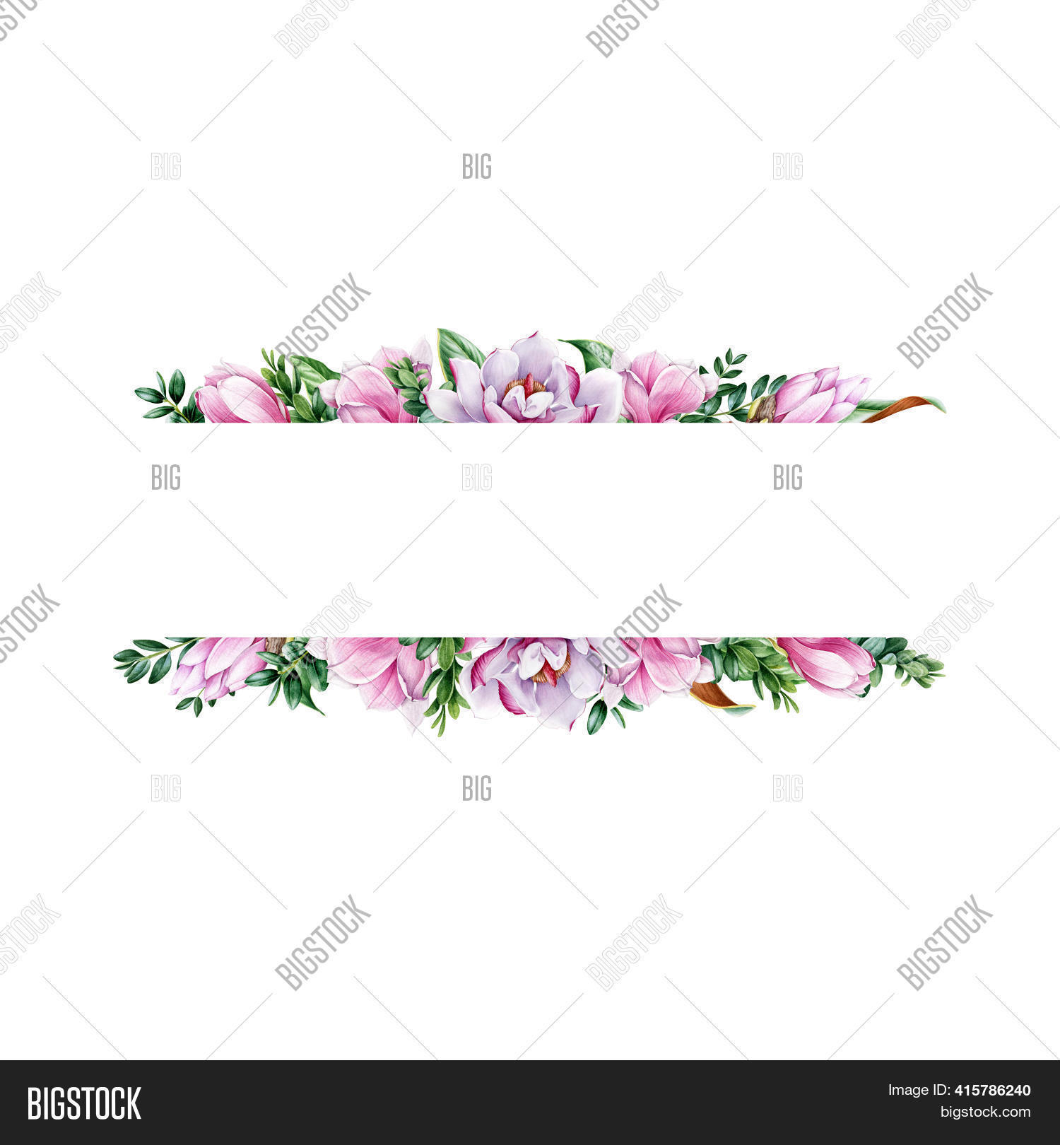 Magnolia Flower Border Image & Photo (Free Trial) | Bigstock