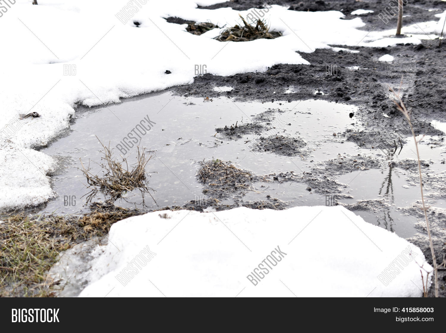 Spring Puddles Water Image & Photo (Free Trial) | Bigstock