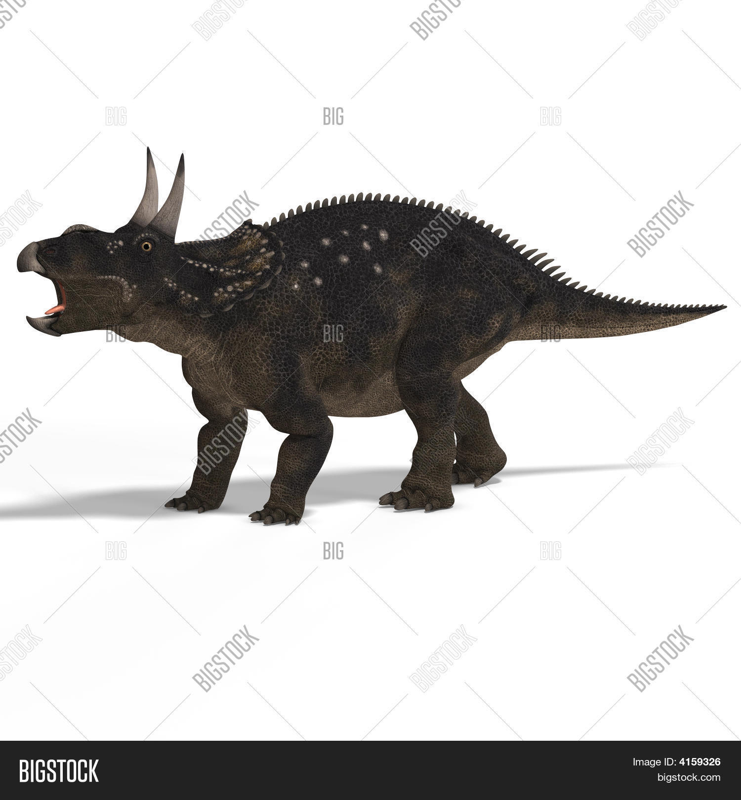 Dinosaur Diceratops Image & Photo (Free Trial) | Bigstock