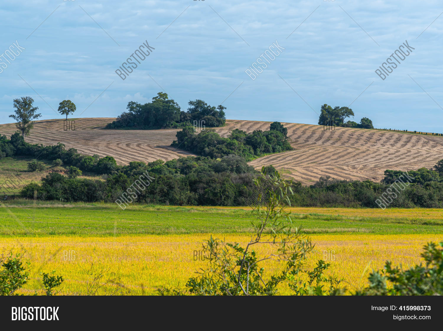 Rural Landscape Farm Image & Photo (Free Trial) | Bigstock