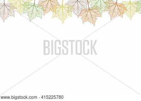 Maple Tree Leaf Frame Image & Photo (Free Trial) | Bigstock