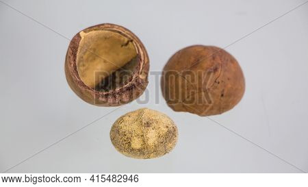 Mold Macadamia Nuts Image & Photo (Free Trial) | Bigstock
