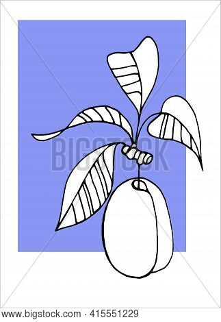 Vector Image. Contour Vector & Photo (Free Trial) | Bigstock