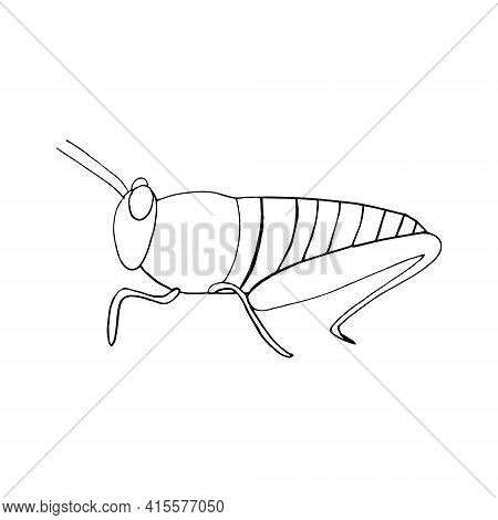 Locust Icon. Hand Vector & Photo (Free Trial) | Bigstock