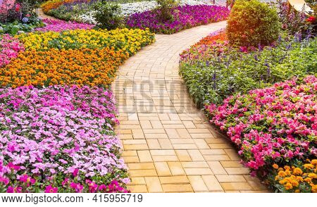Purple Pathways Images, Illustrations & Vectors (Free) - Bigstock