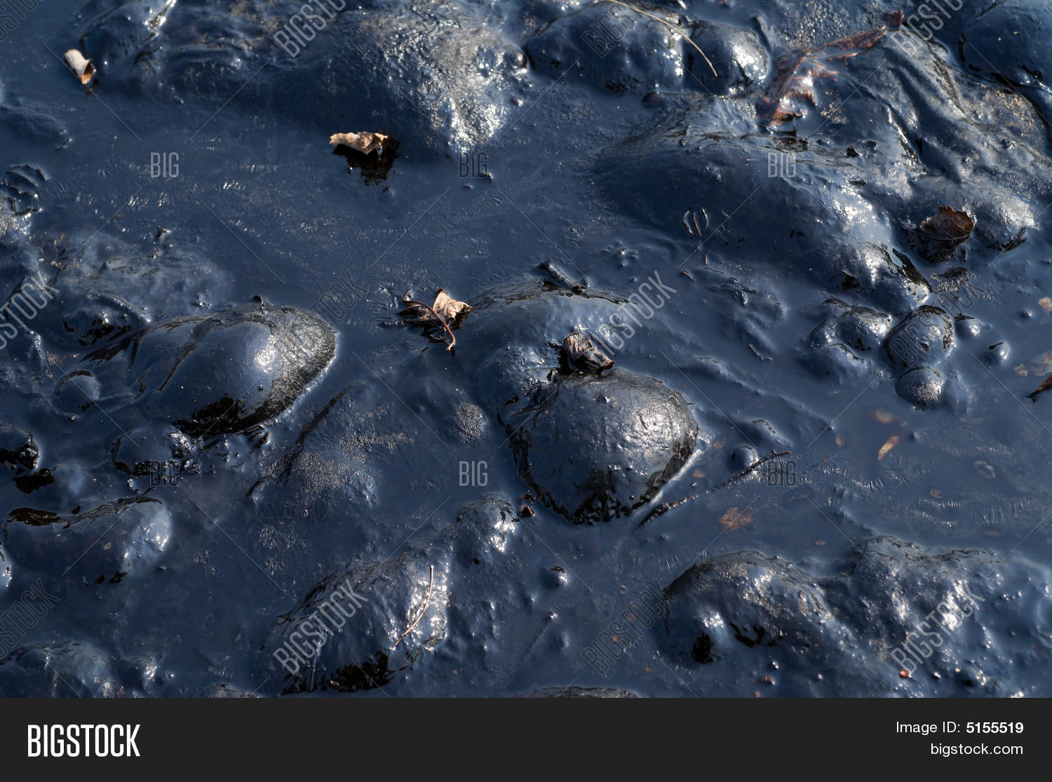 Black Oil Spill
