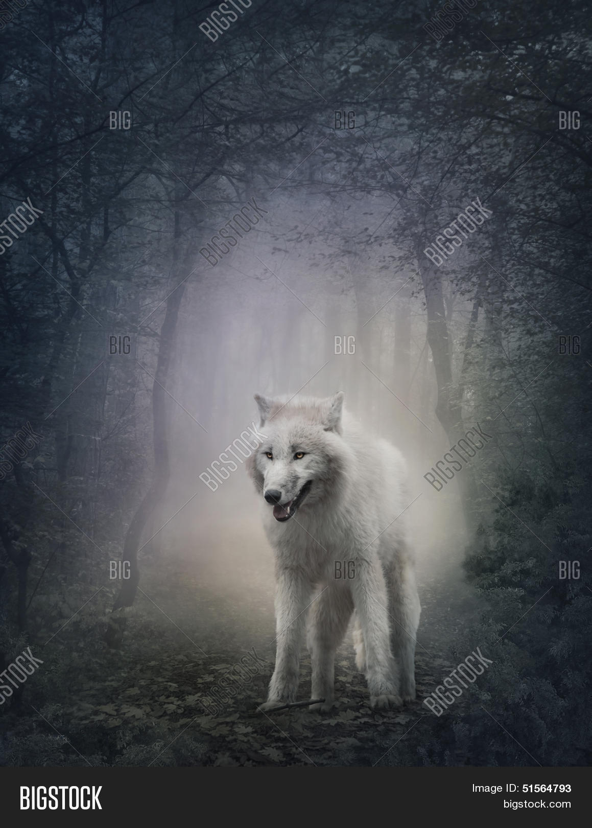 White Wolf Image & Photo (Free Trial) | Bigstock