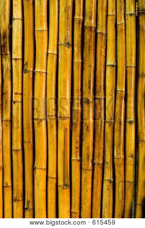 Bamboo Pattern Image & Photo (Free Trial) | Bigstock