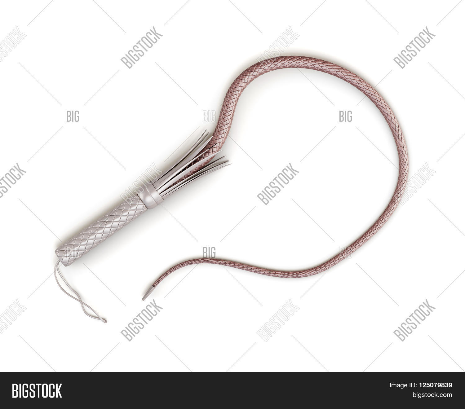 Whip Top View Isolated Image & Photo (Free Trial) | Bigstock