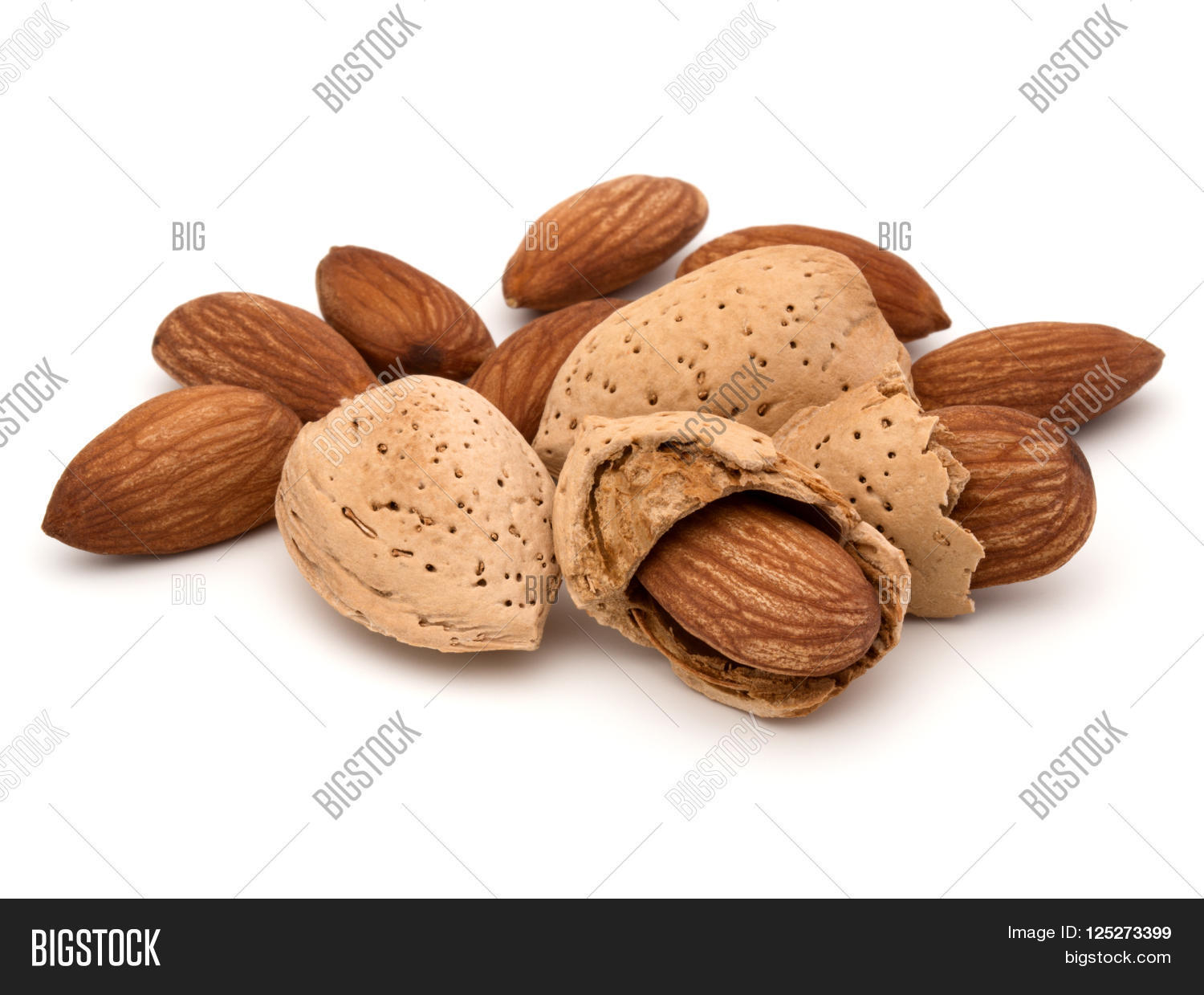 Almond Nut Shell Image & Photo (Free Trial) | Bigstock