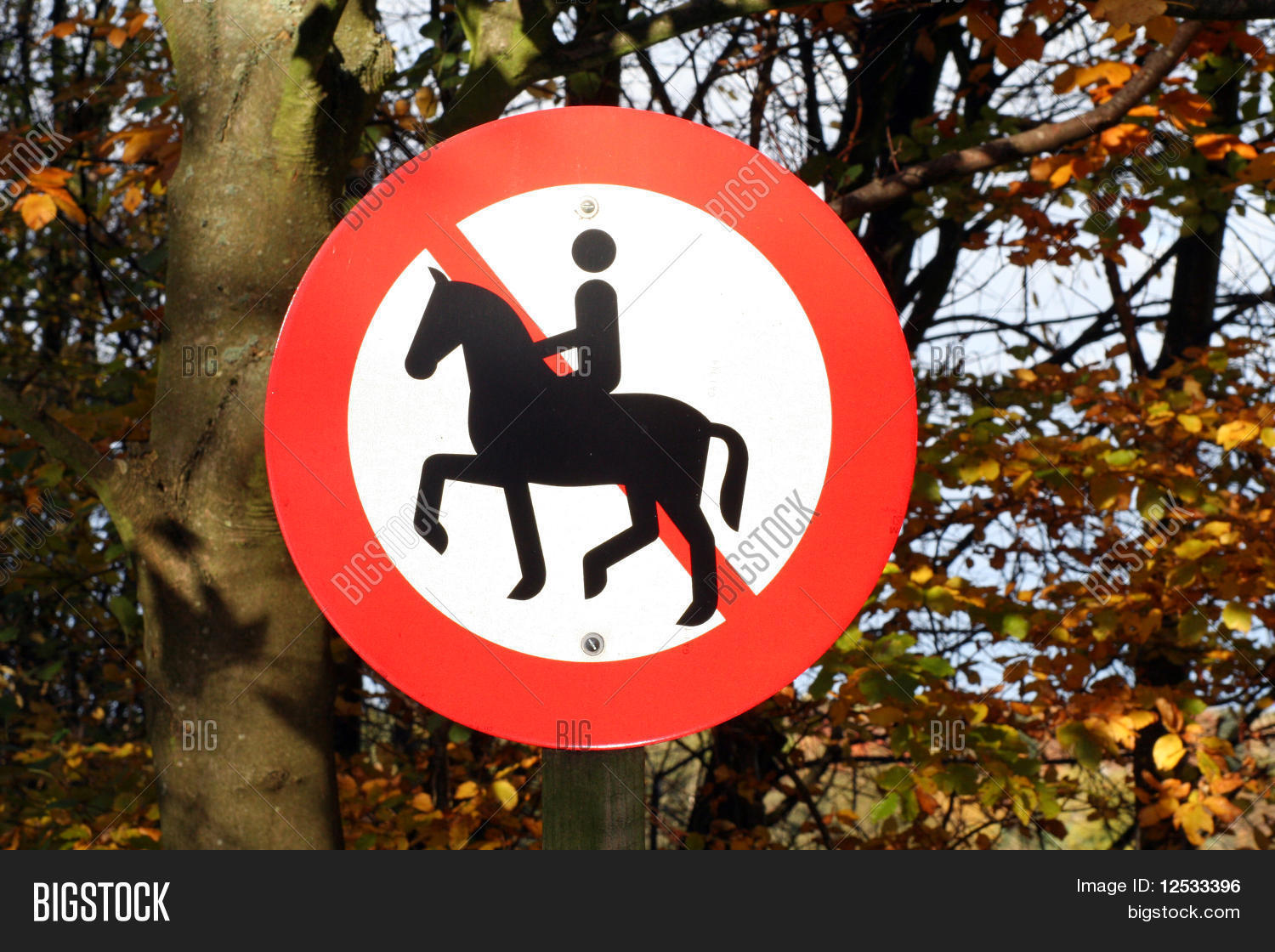 Sign No Riding Image & Photo (Free Trial) | Bigstock