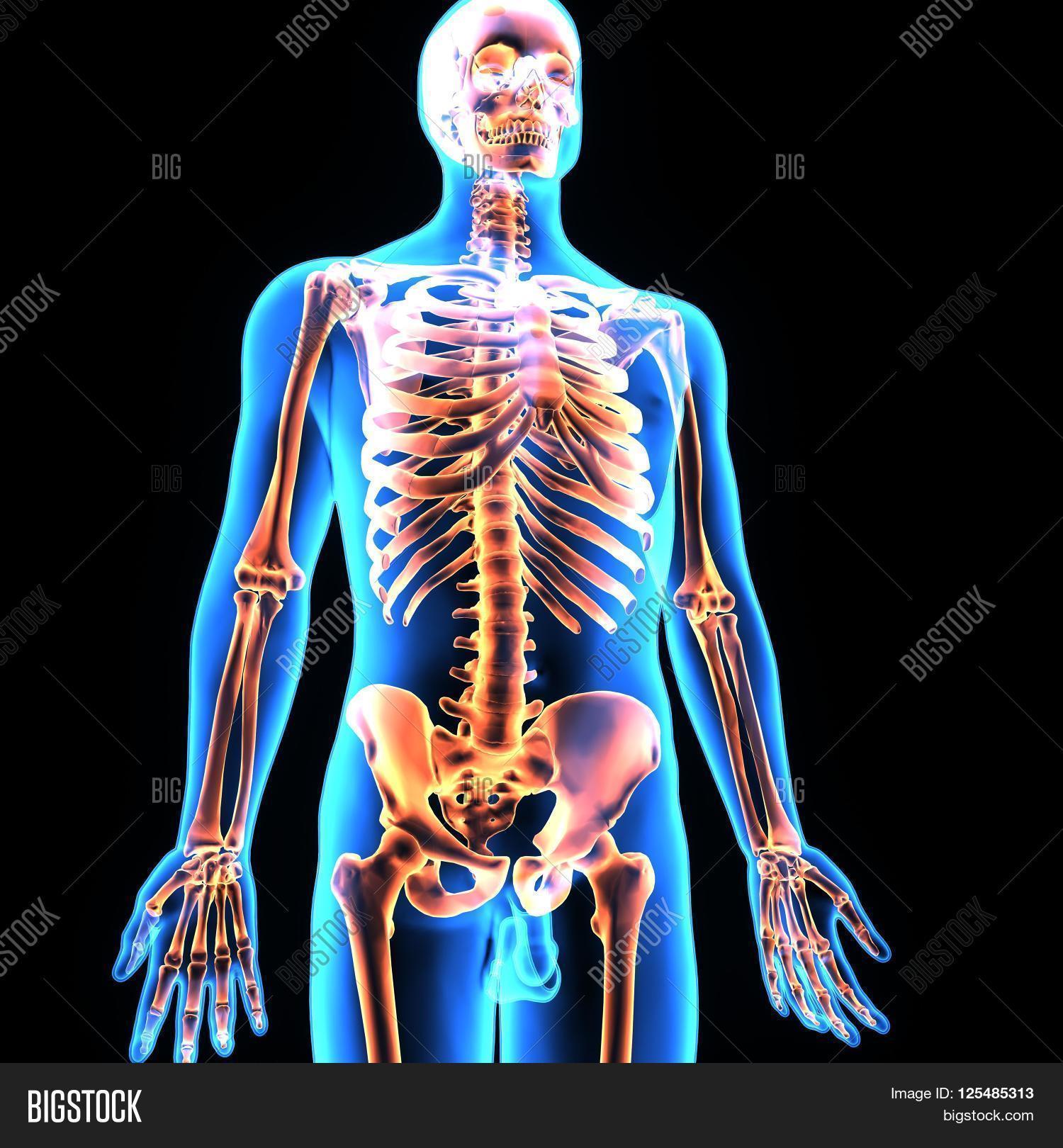 3D Illustration Image & Photo (Free Trial) | Bigstock