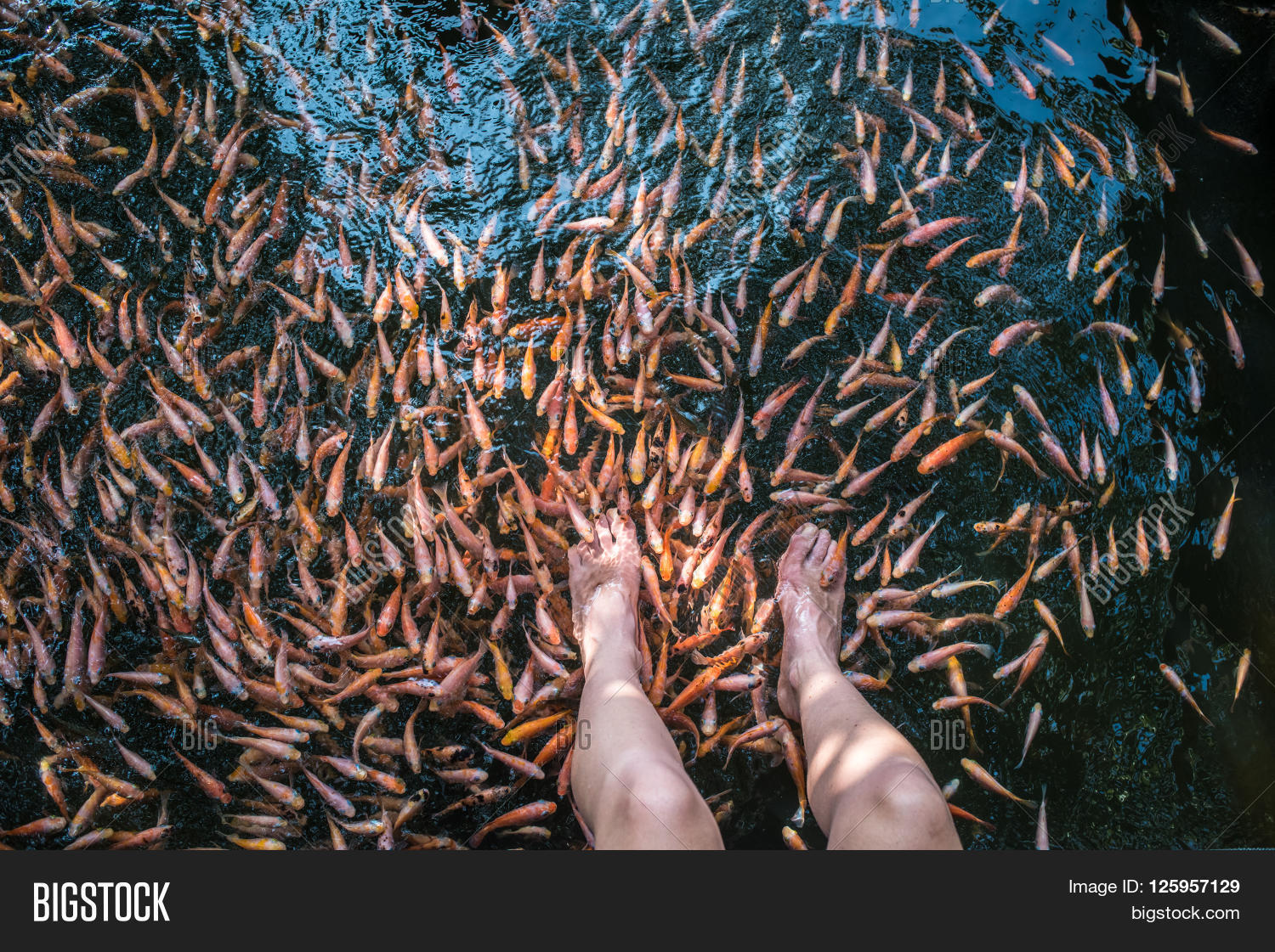 Natural Fish Spa Image & Photo (Free Trial) | Bigstock
