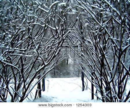 Snowy Walkway Image & Photo (Free Trial) | Bigstock