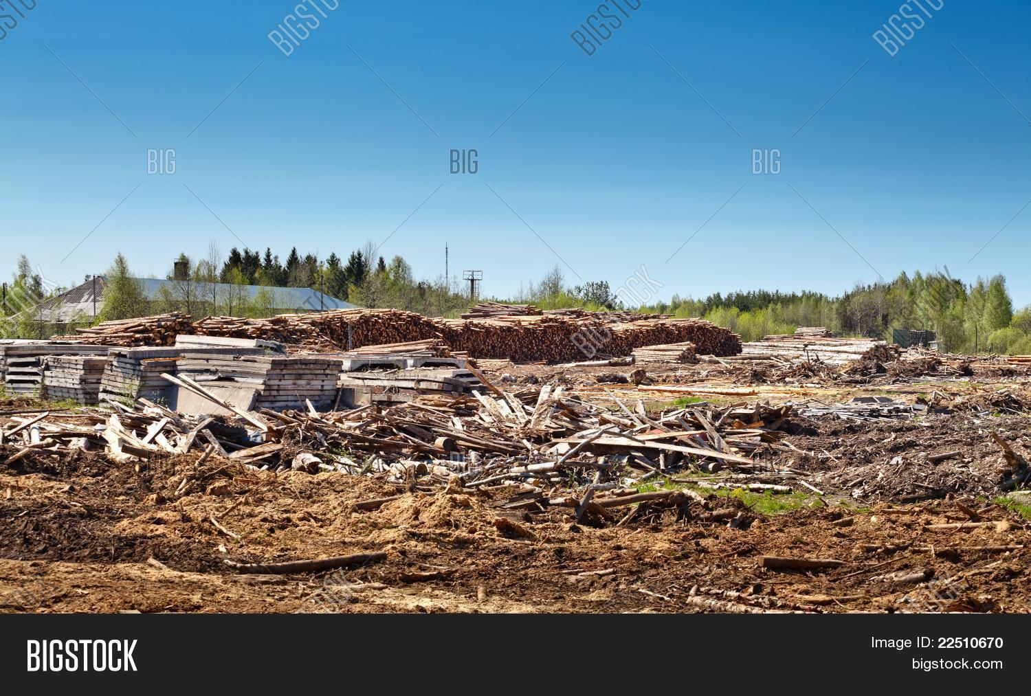 Timber Warehouse Image & Photo (Free Trial) | Bigstock