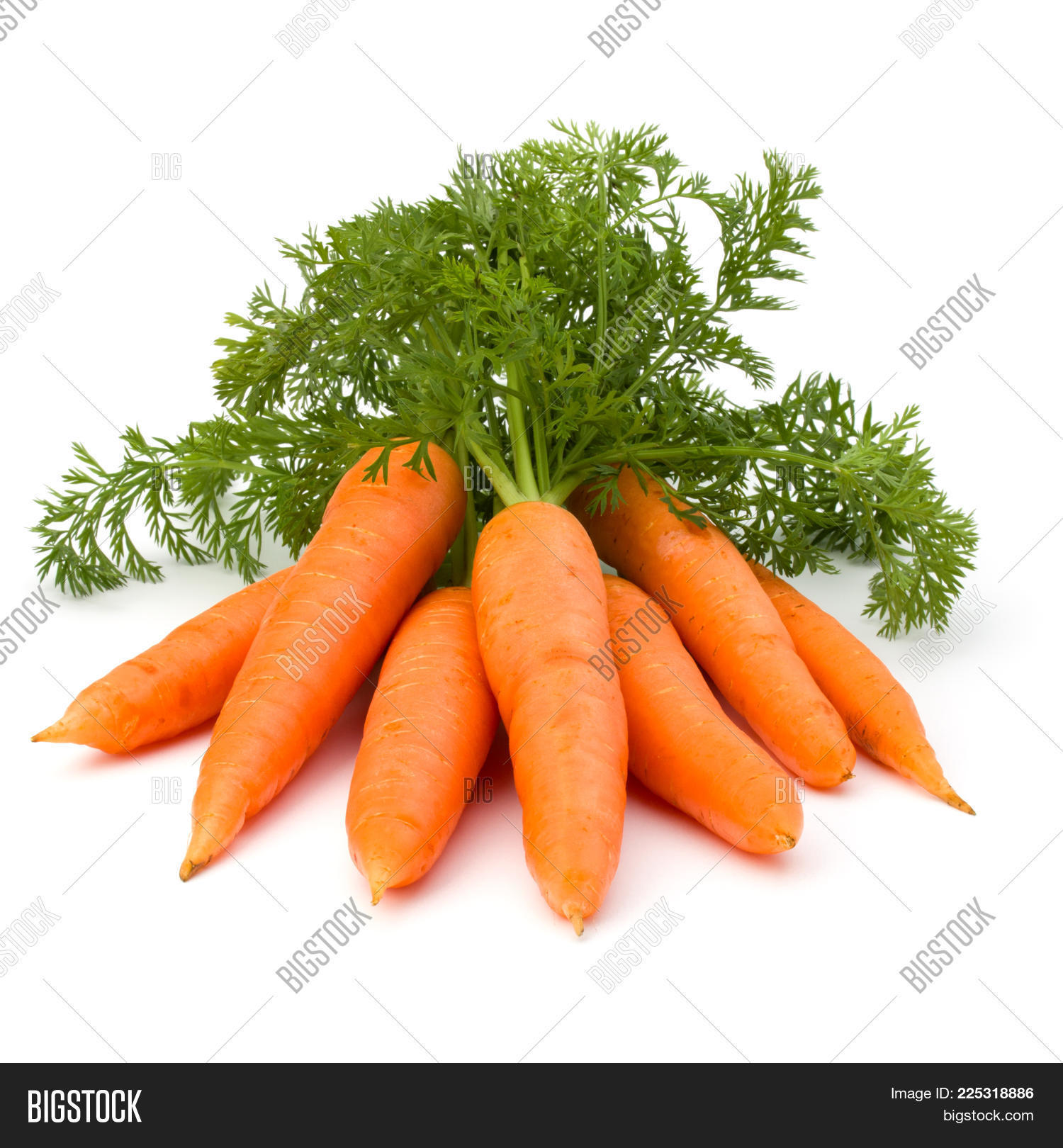 Carrot Vegetable Image & Photo (Free Trial) | Bigstock