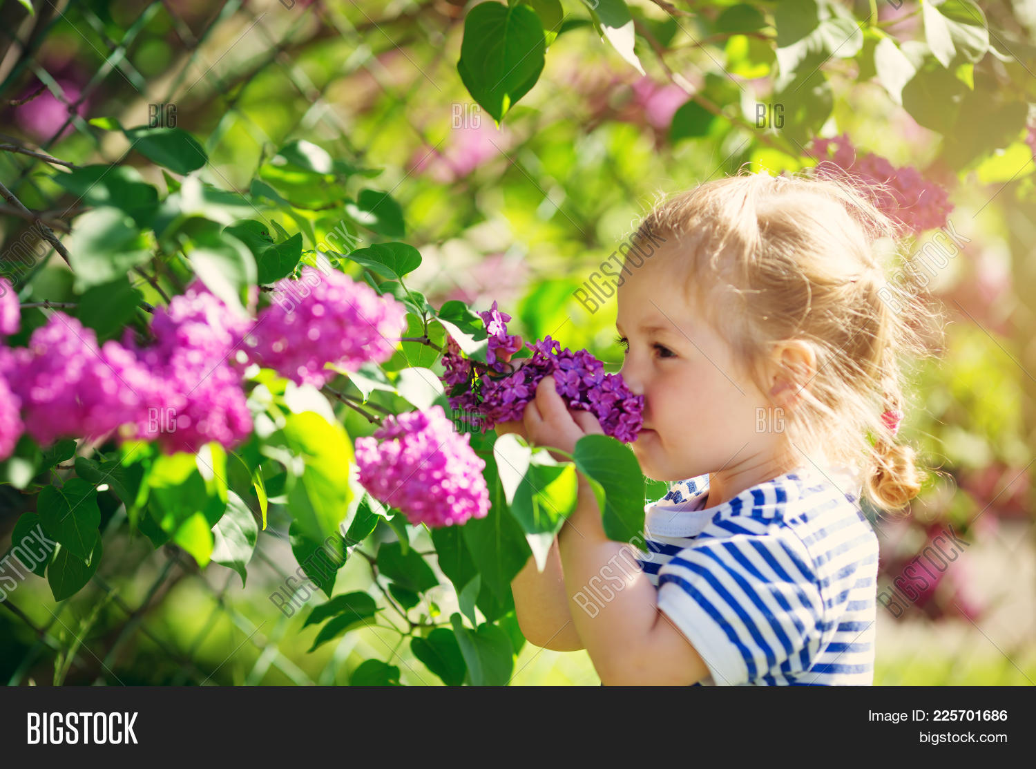 Little Child Smelling Image & Photo (Free Trial) | Bigstock