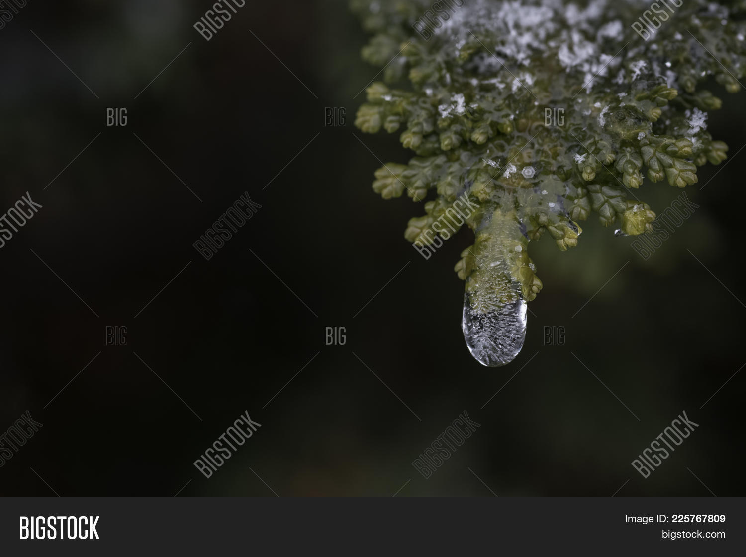 Crystal Clear Ice Drop Image & Photo (Free Trial) | Bigstock