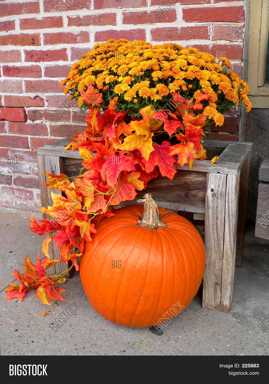 Pumpkin On Bench Image & Photo (Free Trial) | Bigstock