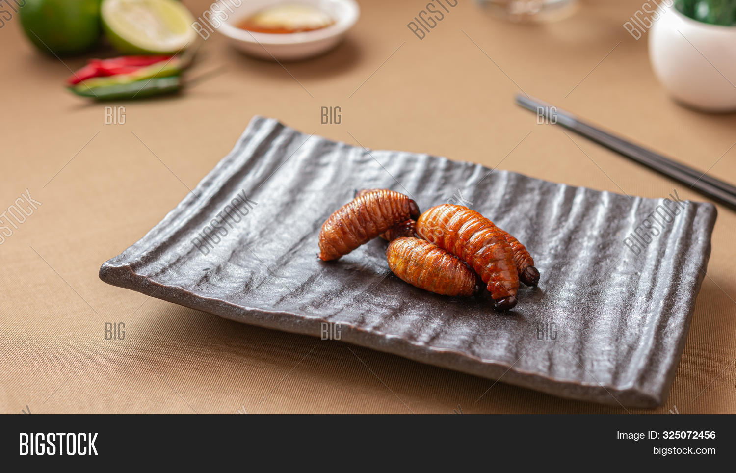 Palm Weevil Larvae Image & Photo (Free Trial) | Bigstock