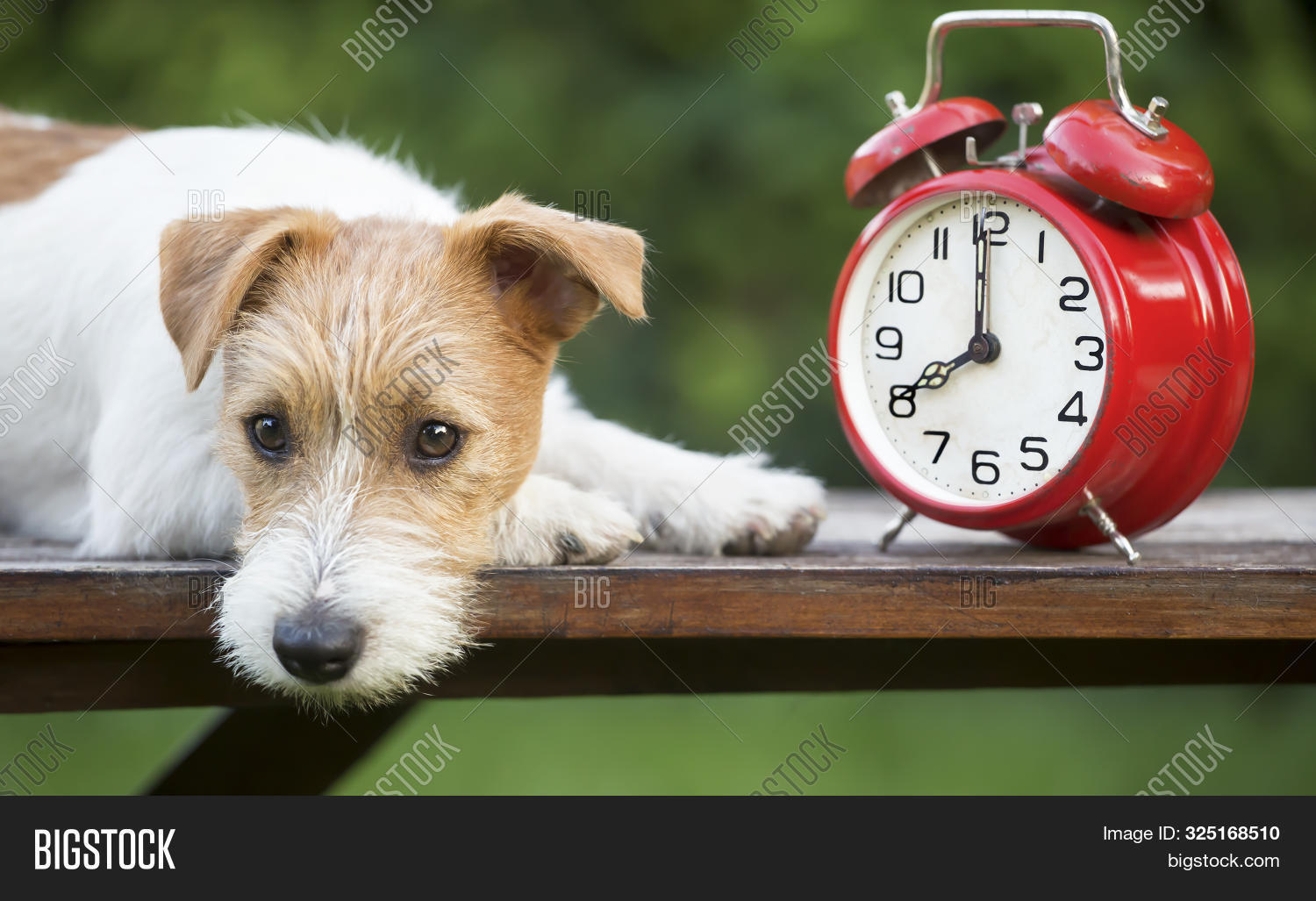 Daylight Savings Time Image & Photo (Free Trial) | Bigstock