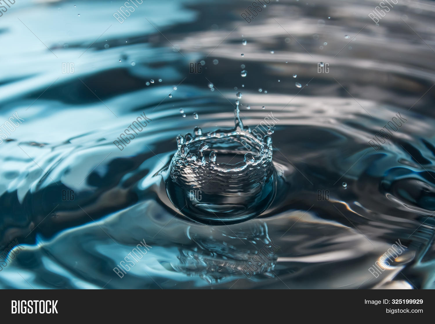Water Splash Drop. Image & Photo (Free Trial) | Bigstock