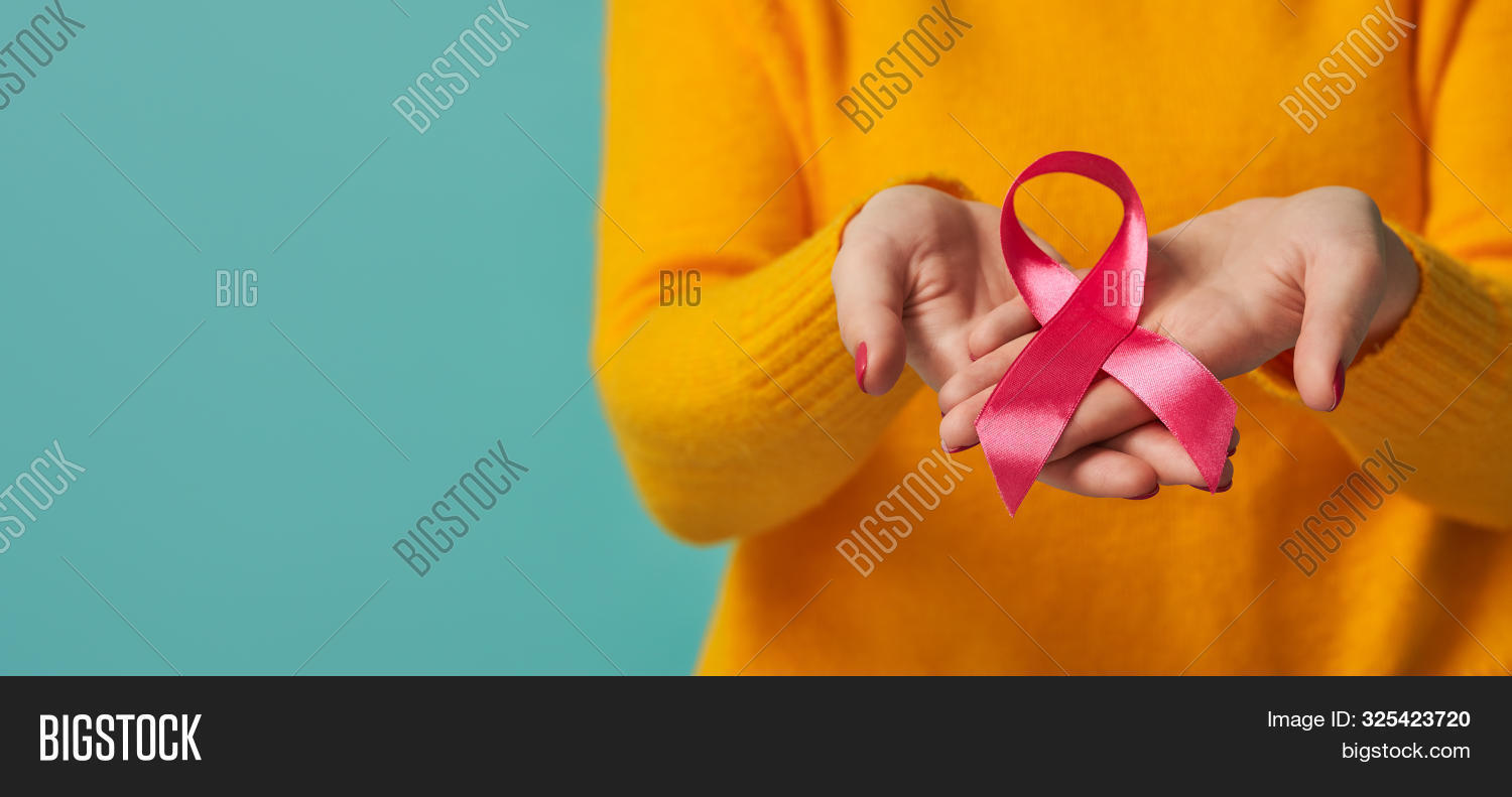 Female Hands. Top View Image & Photo (Free Trial) | Bigstock