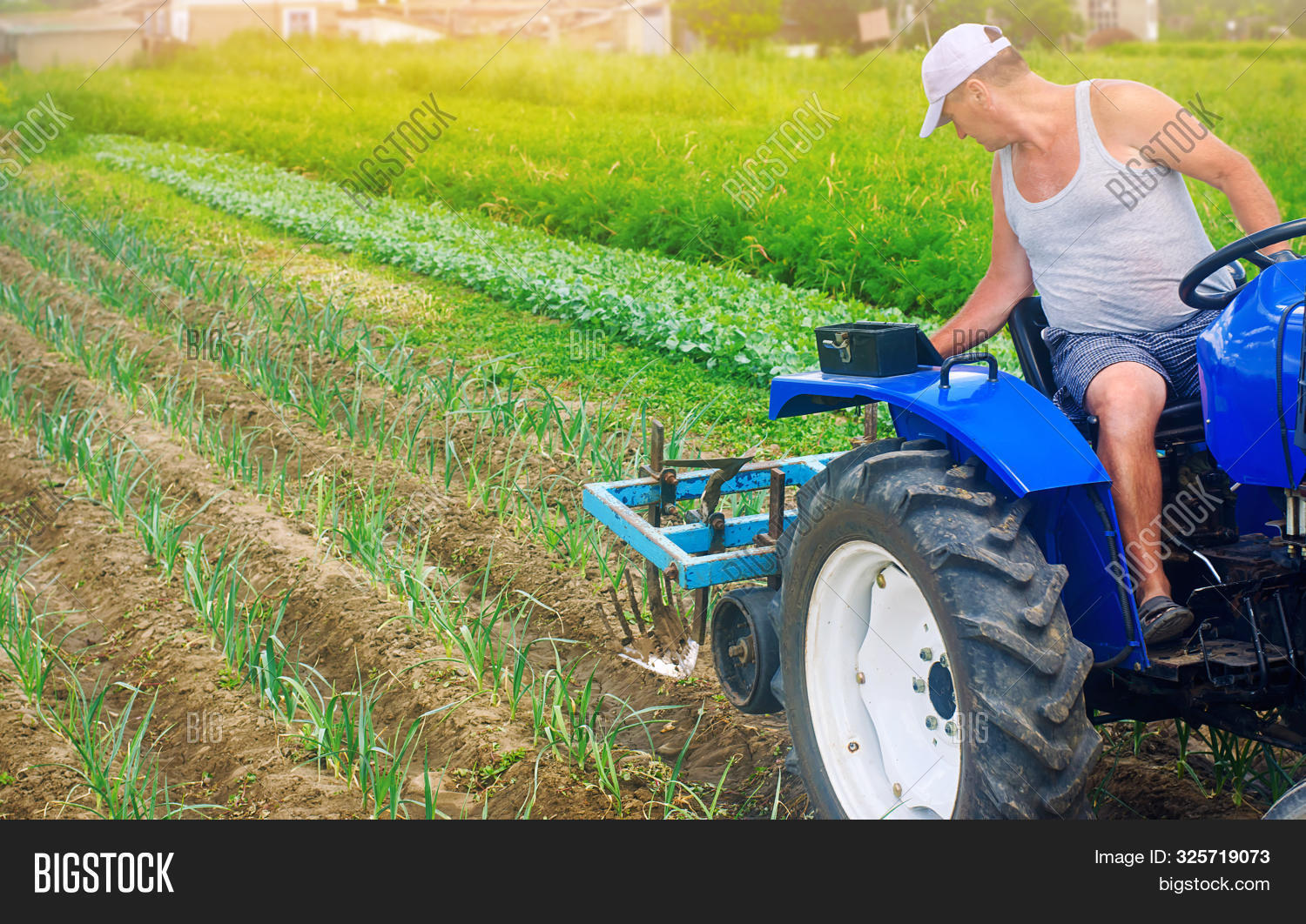 Farmer On Tractor Image & Photo (Free Trial) | Bigstock