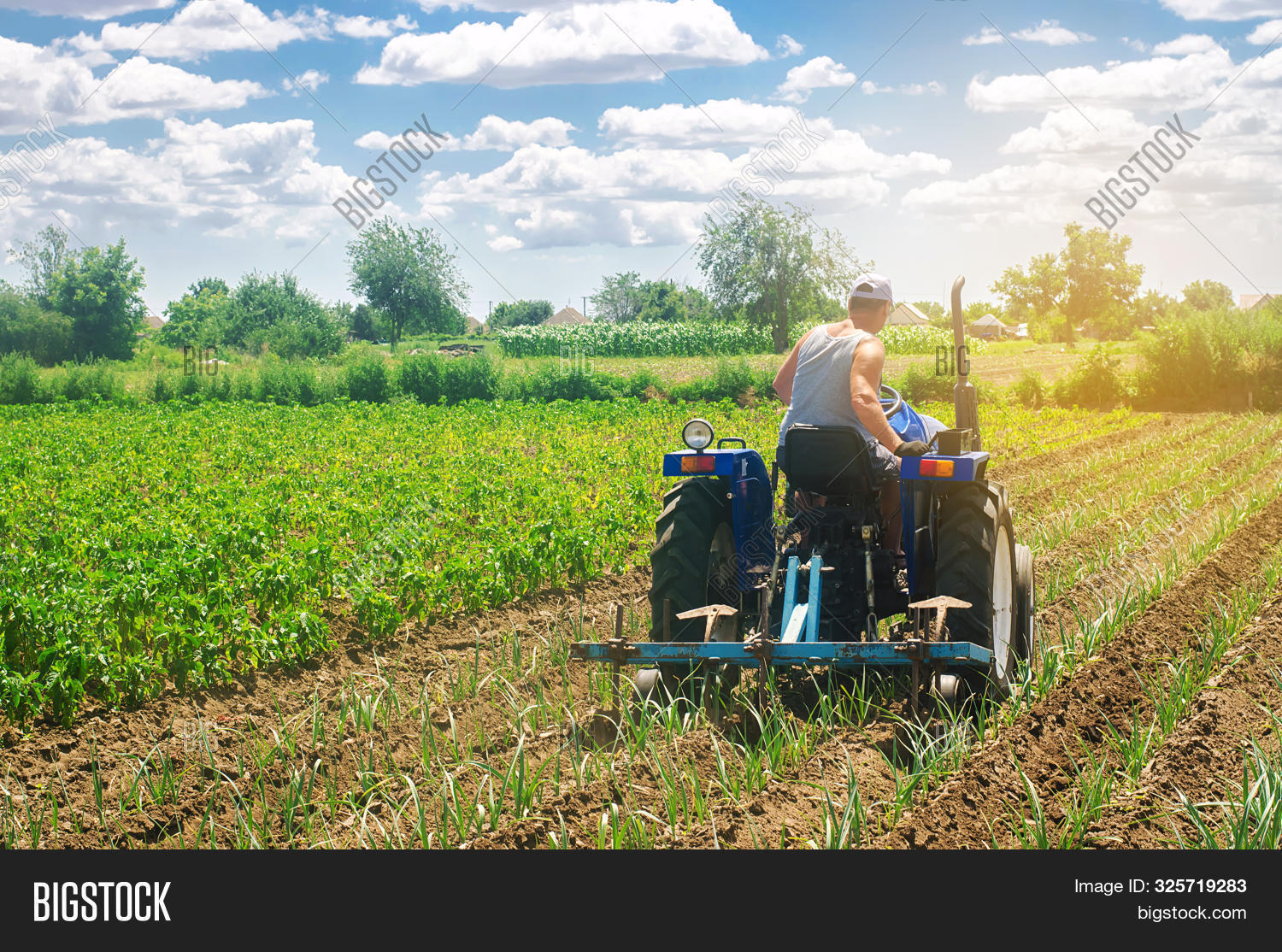 Farmer On Tractor Image & Photo (Free Trial) | Bigstock